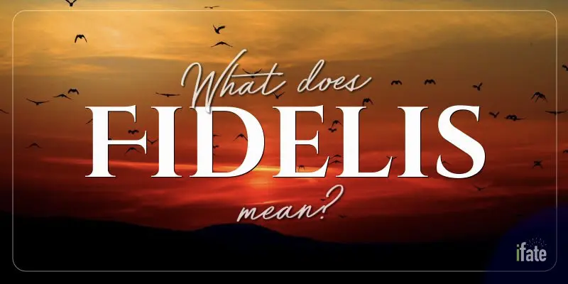The Meaning of the Name "Fidelis", and Why Numerologists Like It