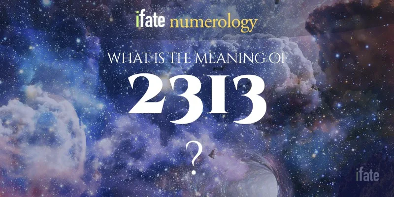 The Meaning of the Number 2313