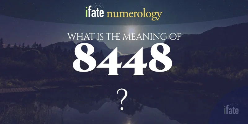 The Meaning of the Number 8448